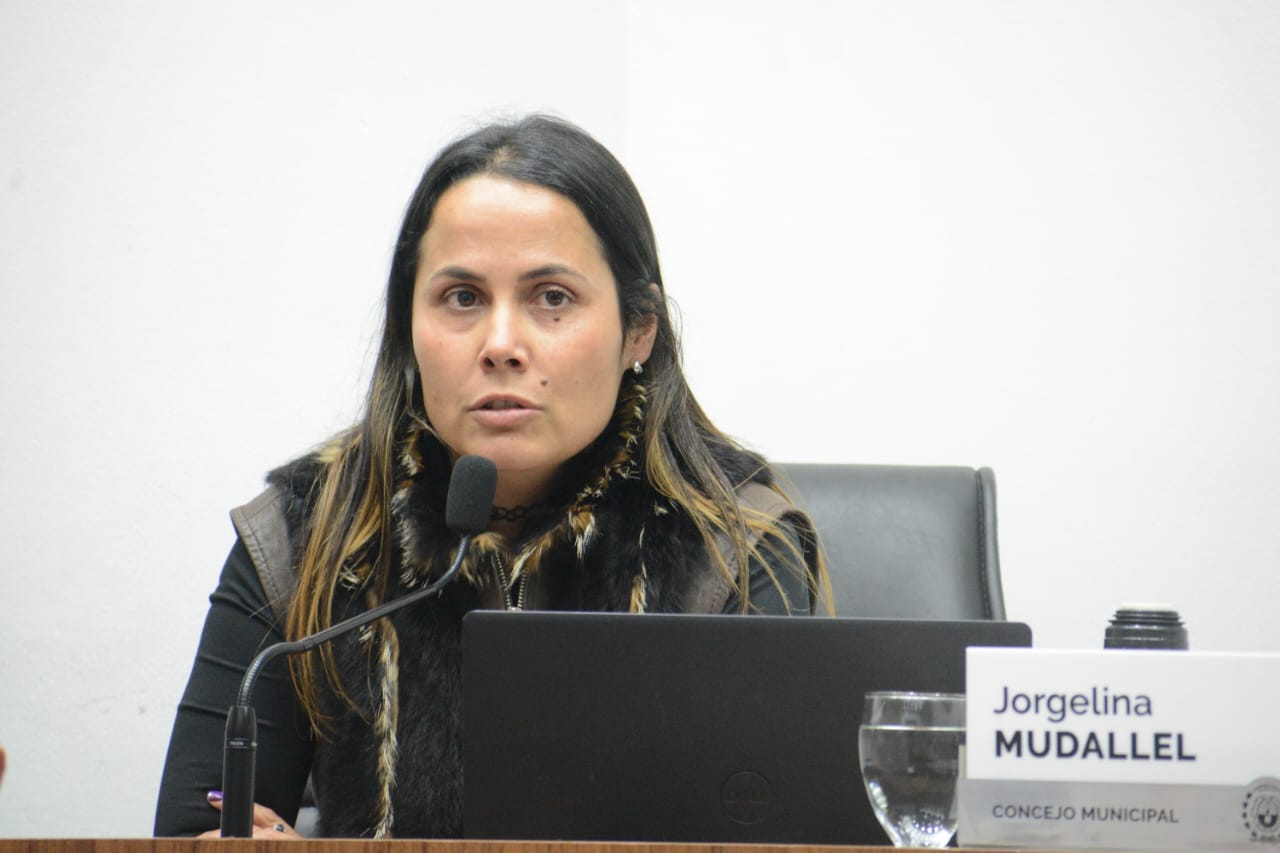Mudallel: “Tienen herramientas y no las están utilizando ¿Por qué están ...